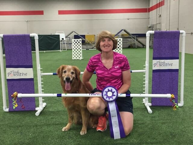 Canine Fitness Workshops - Twin Cities Obedience Training Club